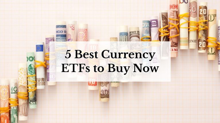 Currency ETFs: Steven Rogé's Take on Foreign Currency Funds